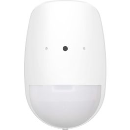 AX PRO Wireless Dual-Tech Detector | Pacetech